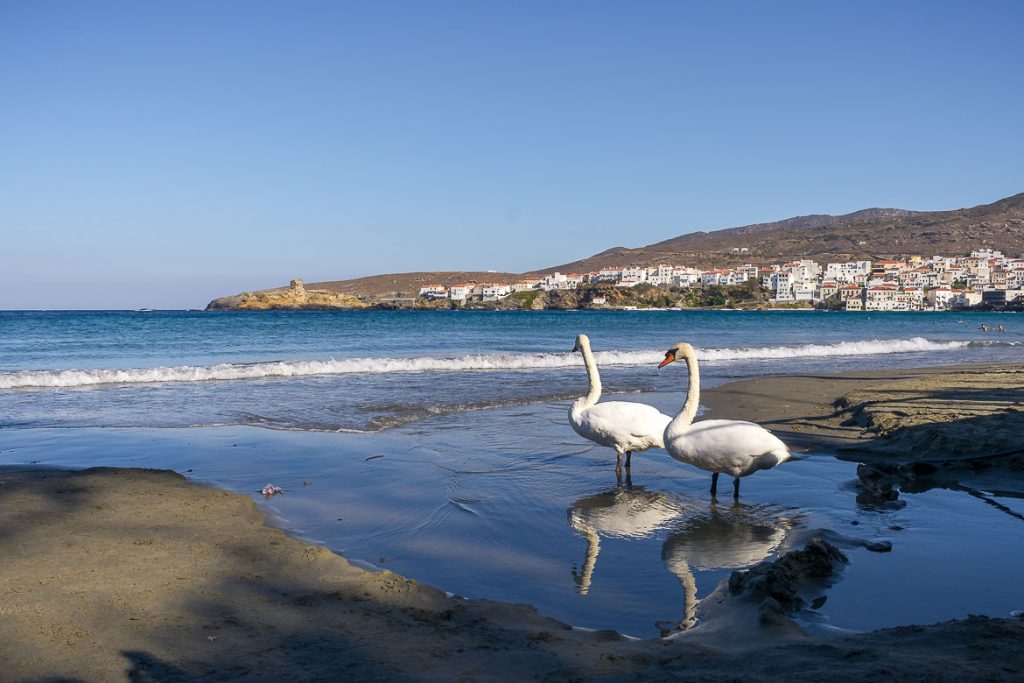 The 22 Most Spectacular Andros Beaches Greece | It’s All Trip To Me