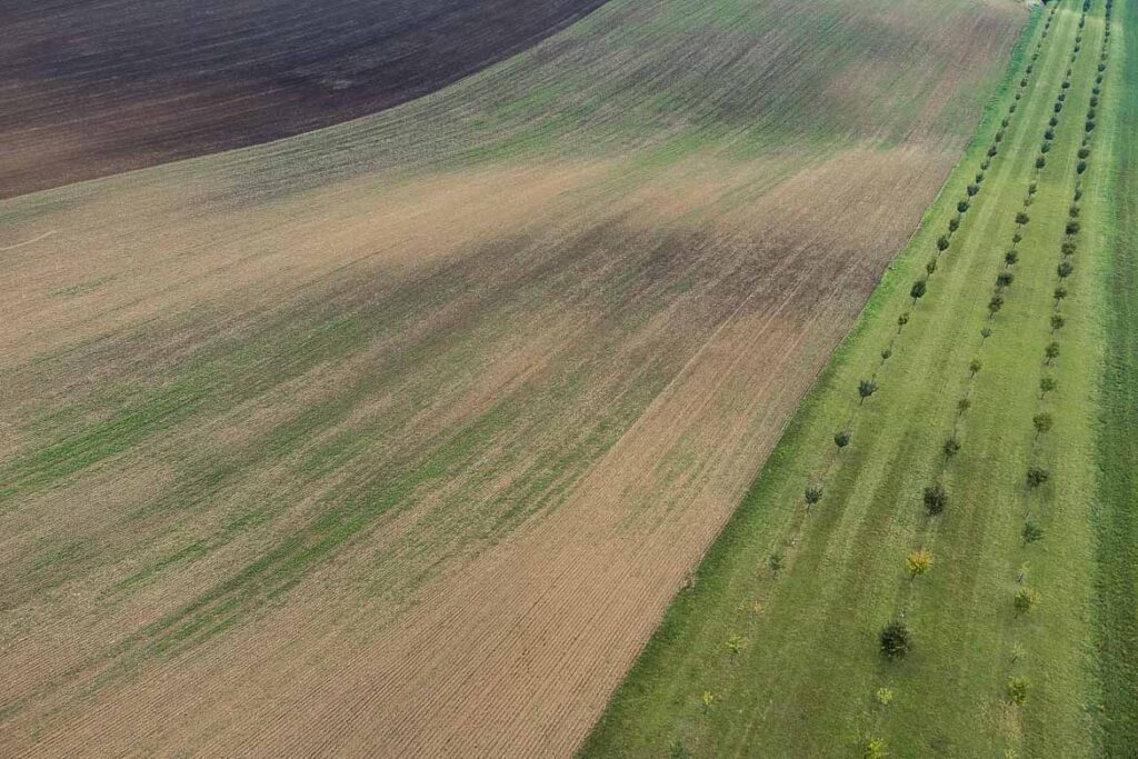 What To Do in Brno - Visiting South Moravia's Capital | It’s All Trip To Me
