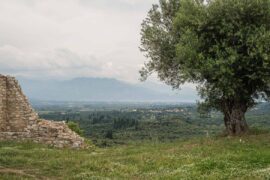 What To Do in Kalamata Greece: History, Olives & Fun | It’s All Trip To Me