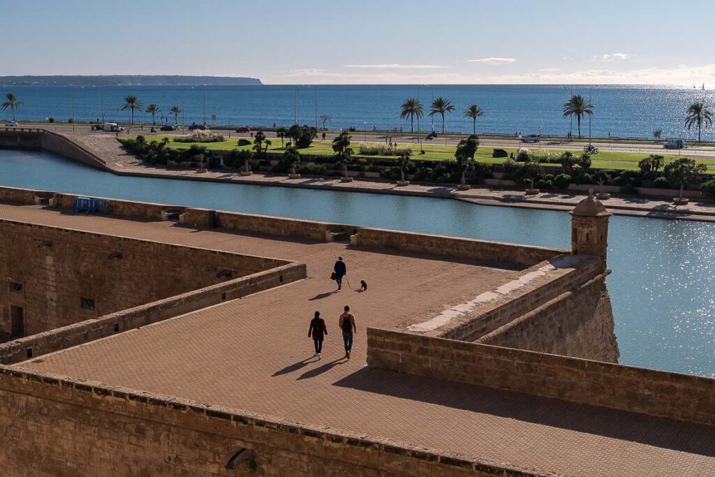 Palma de Mallorca in Winter - Why Go & Things To Do | It’s All Trip To Me